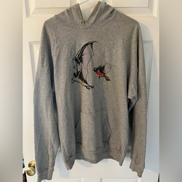Batman | Sweaters | Batman Robin Hoodie | Poshmark